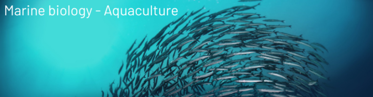 Autonomous Underwater Vehicle - Seaber