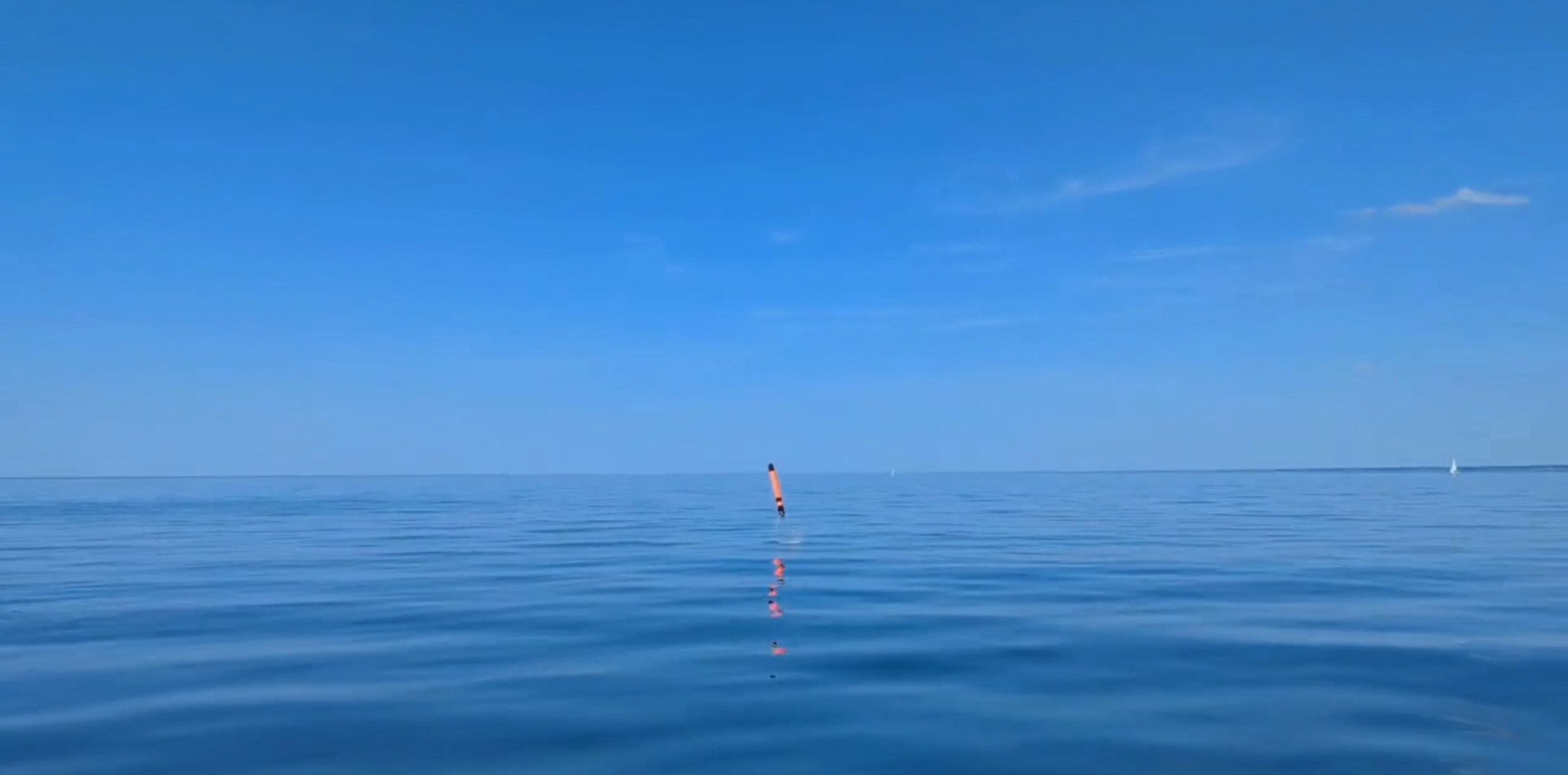 AUV or Dolphin? Sometimes, it's hard to tell... - Seaber